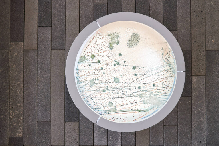 The Exploded View Beyond Building - ngôi nhà làm từ 100 vật liệu tự nhiên - Ashui.com